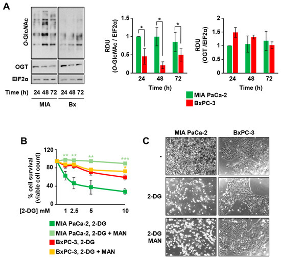 Suppression of the HBP Function Increases Pancreatic Cancer Cell ...