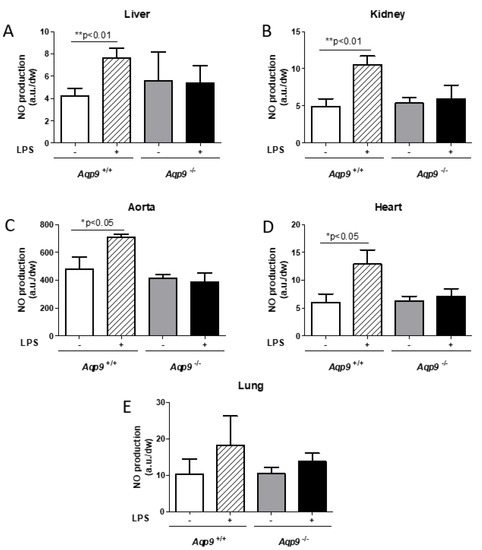 Cells | Free Full-Text | Ablation of Aquaporin-9 Ameliorates the ...