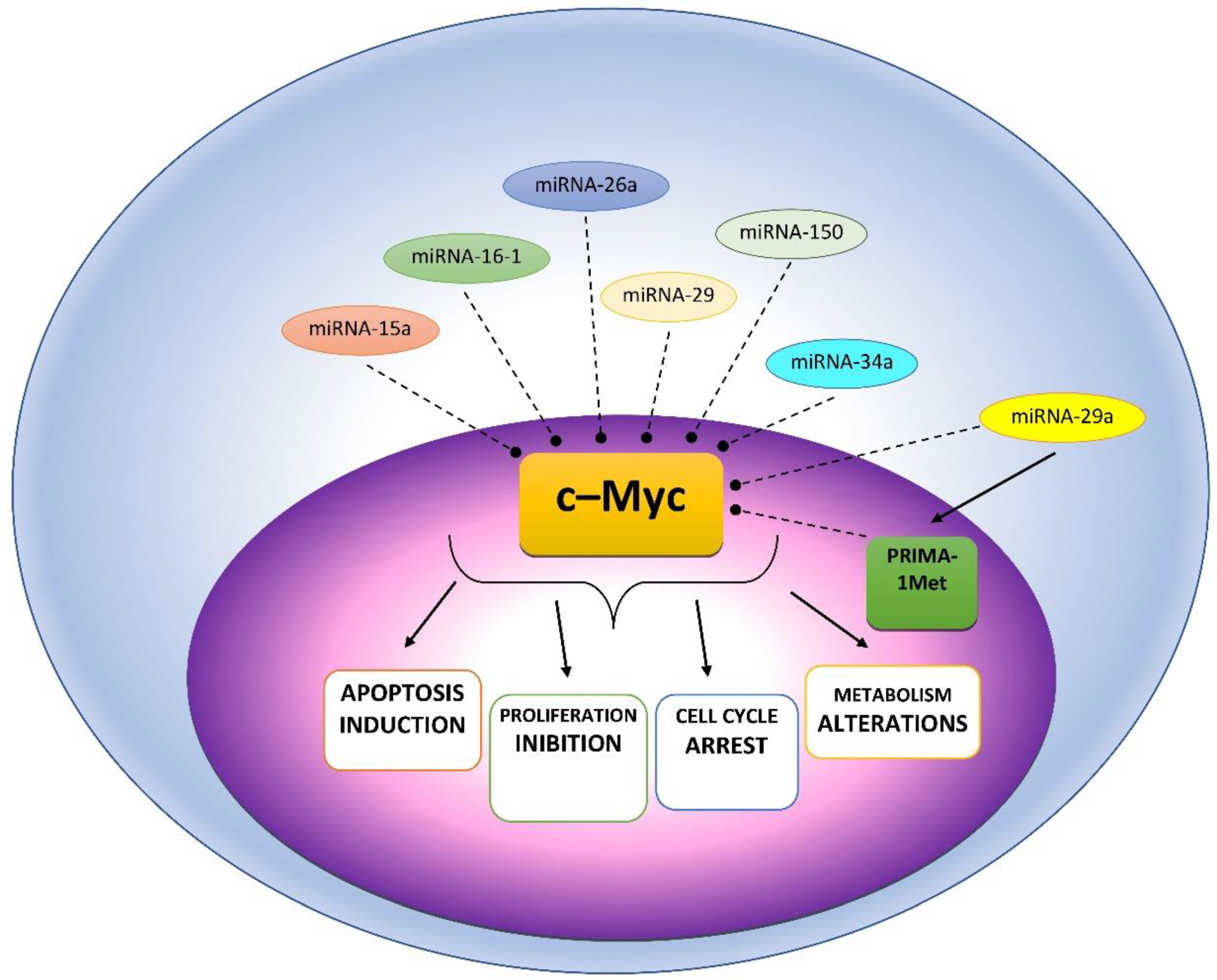 Potential Role of microRNAs in inducing Drug Resistance in Patients ...