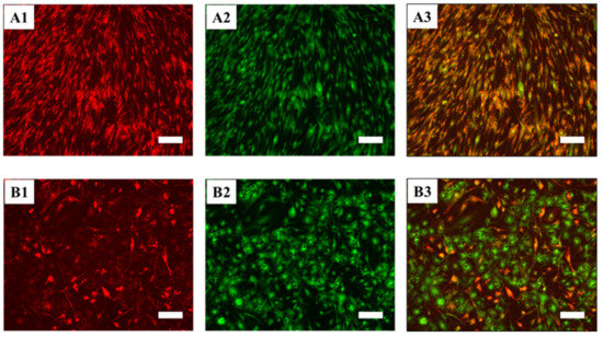 Chemically Defined Xeno- and Serum-Free Cell Culture Medium to Grow ...