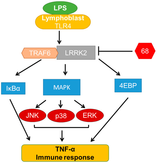 A LRRK2 GTP Binding Inhibitor, 68, Reduces LPS-Induced Signaling Events ...