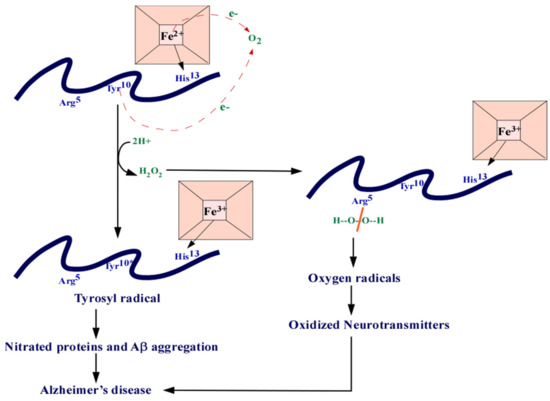 An Analysis of the Neurological and Molecular Alterations Underlying ...