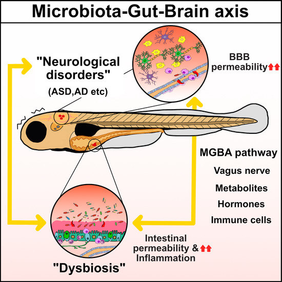 Cells | Free Full-Text | Genetic Approaches Using Zebrafish to Study ...