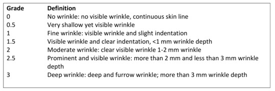 Facial Rejuvenation with Concentrated Lipograft—A 12 Month Follow-Up Study