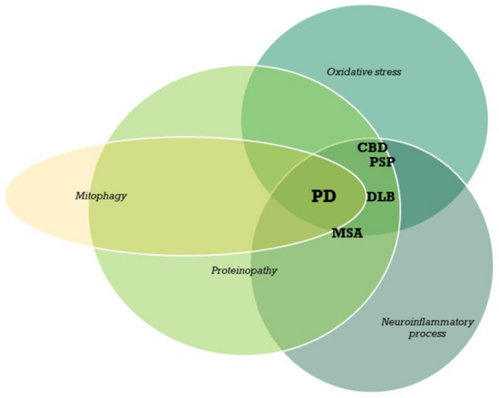 Cells | Free Full-Text | Mechanisms of Neurodegeneration in Various ...