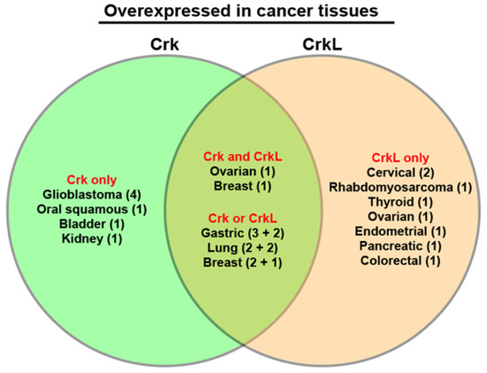 Crk and CrkL as Therapeutic Targets for Cancer Treatment