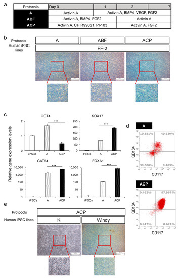 An Efficient Method for the Differentiation of Human iPSC-Derived ...