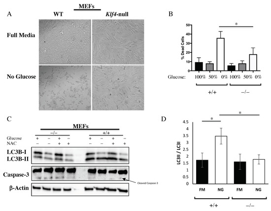KLF4 Regulates Metabolic Homeostasis in Response to Stress