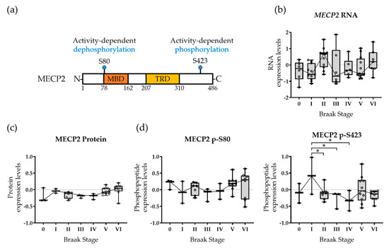 Cells | Free Full-Text | MECP2 Increases the Pro-Inflammatory Response ...