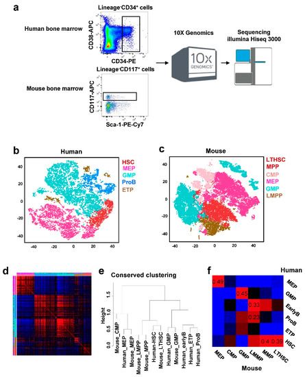 Comparative Transcriptomic Analysis of the Hematopoietic System between ...