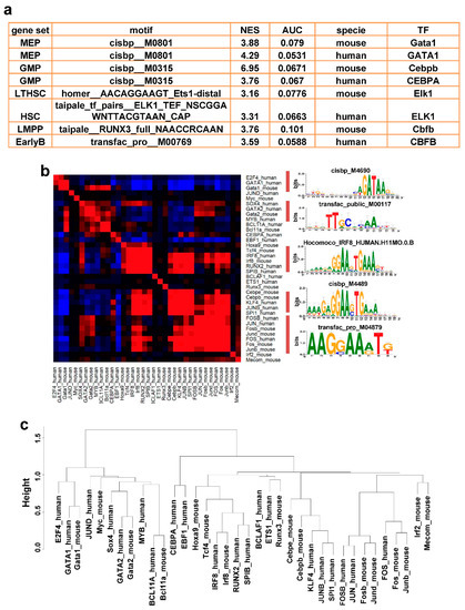 Comparative Transcriptomic Analysis of the Hematopoietic System between ...