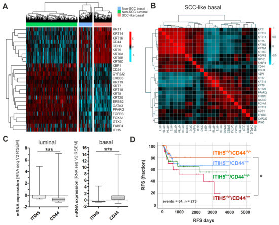 Cells | Free Full-Text | The ECM Modulator ITIH5 Affects Cell Adhesion ...