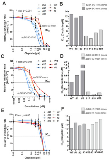 The ECM Modulator ITIH5 Affects Cell Adhesion, Motility and ...