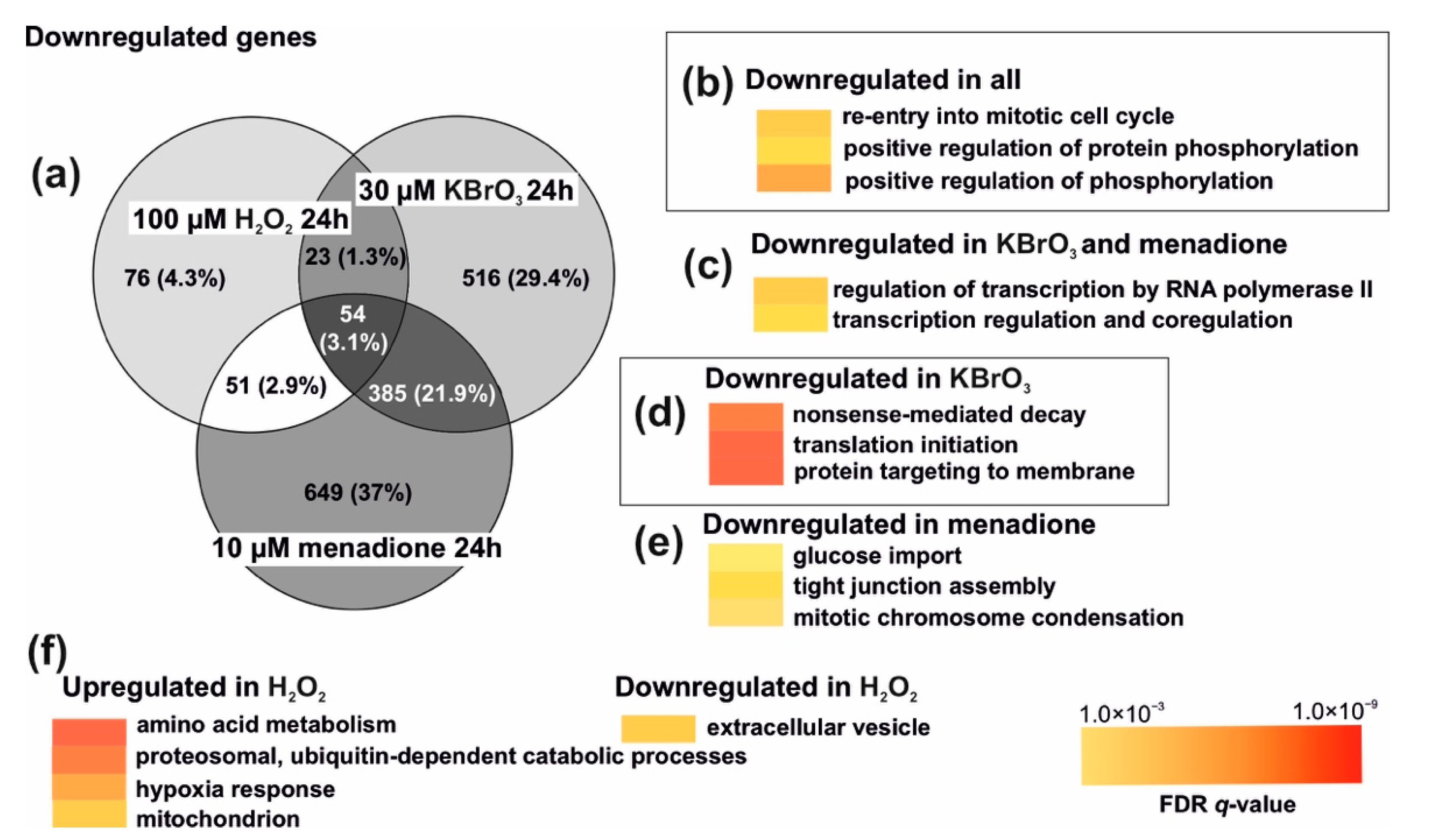 The Type and Source of Reactive Oxygen Species Influences the Outcome ...