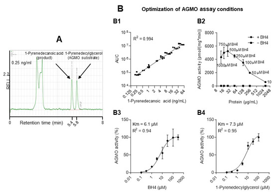 AGMO Inhibitor Reduces 3T3-L1 Adipogenesis
