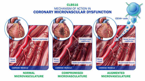 Cells | Special Issue : Stem Cells to the Rescue: Development and ...
