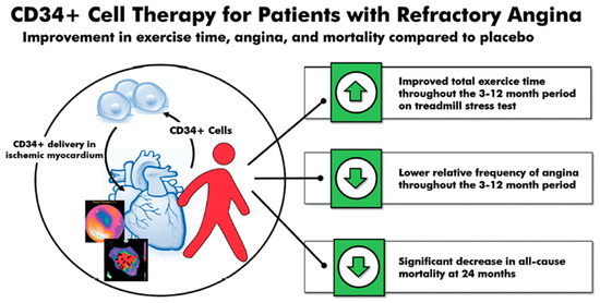 Angiogenic CD34 Stem Cell Therapy in Coronary Microvascular Repair—A ...