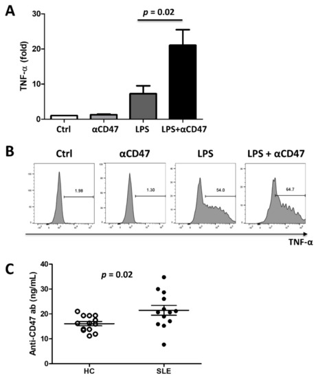 CD47 Potentiates Inflammatory Response in Systemic Lupus Erythematosus