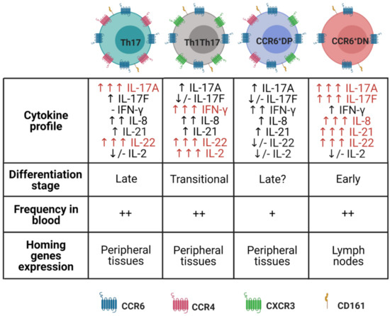 Th17 Cells in Viral Infections—Friend or Foe?