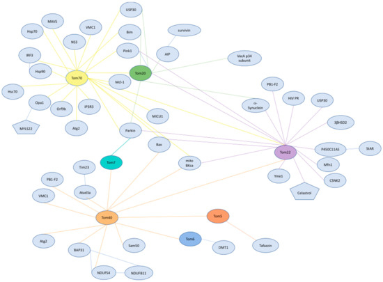 A Biochemical and Structural Understanding of TOM Complex Interactions and Implications for ...