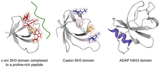 Novel Roles of SH2 and SH3 Domains in Lipid Binding