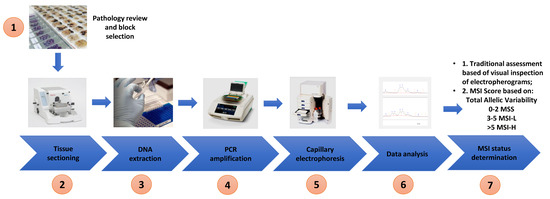 A Simple, Accurate and Cost-Effective Capillary Electrophoresis Test ...