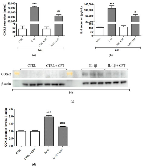 Cells | Free Full-Text | Irinotecan (CPT-11) Canonical Anti-Cancer Drug ...