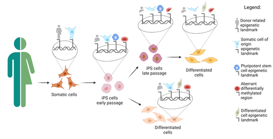 Cells | Special Issue : Molecular Basis and Applications of Cell ...