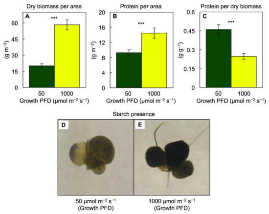 Features of the Duckweed Lemna That Support Rapid Growth under Extremes ...