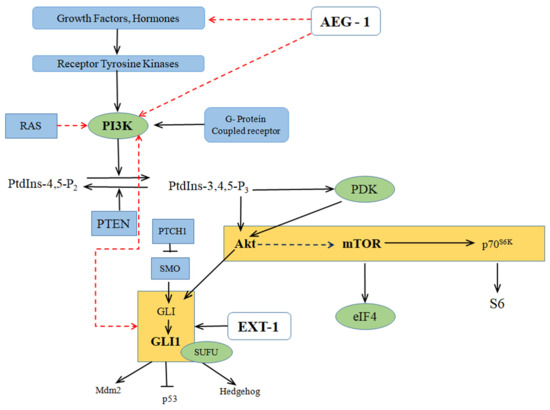 Cells | Free Full-Text | Emerging Role and Clinicopathological ...