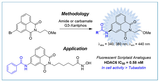 Cells | Free Full-Text | Direct Amidation to Access 3-Amido-1,8 ...