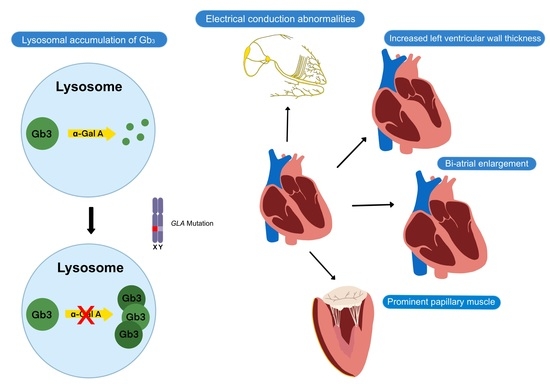Cells | Special Issue : Lysosomal Storage Disorders