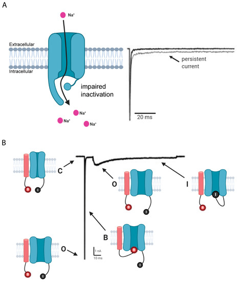 Distinctive Properties and Powerful Neuromodulation of Nav1.6 Sodium ...