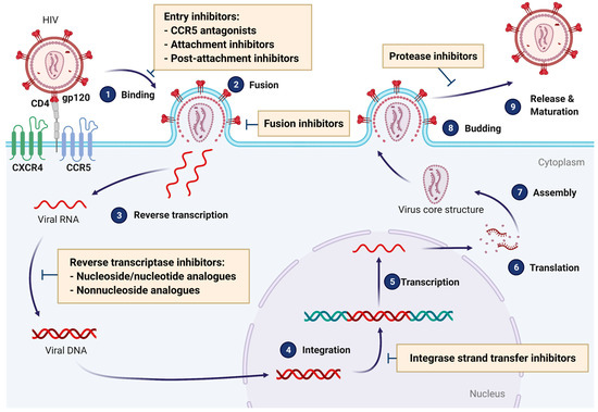 NNRTI and Liver Damage: Evidence of Their Association and the ...