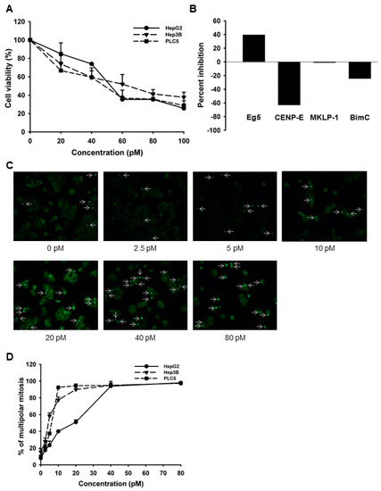 Eg5 as a Prognostic Biomarker and Potential Therapeutic Target for ...