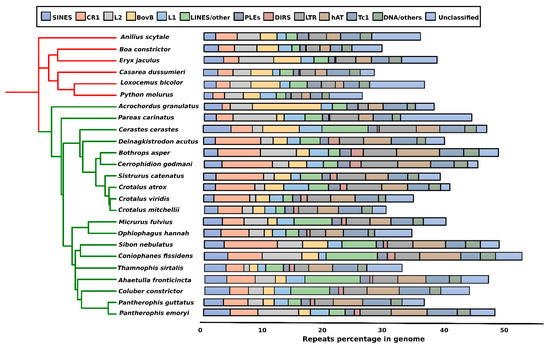 Impact of Repetitive DNA Elements on Snake Genome Biology and Evolution