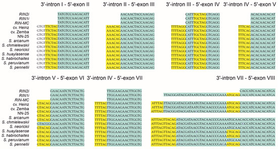Cells | Free Full-Text | Characterization of RIN Isoforms and Their ...