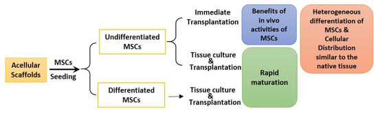 Recellularization of Native Tissue Derived Acellular Scaffolds with ...