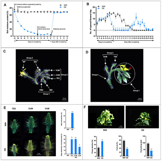 Morpho-Physiological and Transcriptome Changes in Tomato Anthers of ...