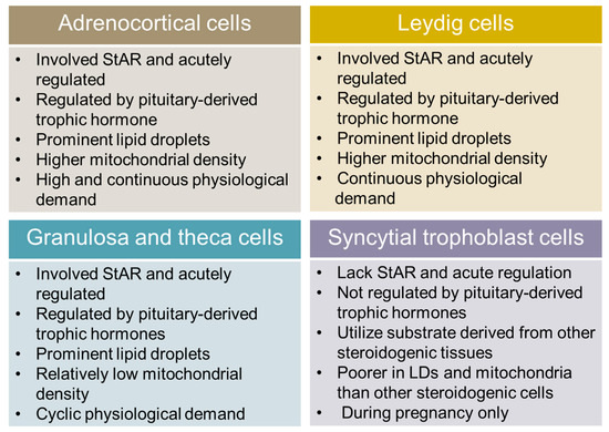 The Expanding Role of Mitochondria, Autophagy and Lipophagy in ...