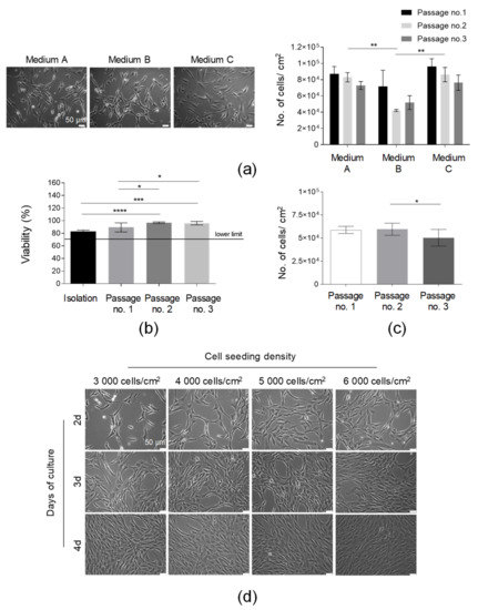 Processing and Ex Vivo Expansion of Adipose Tissue-Derived Mesenchymal ...