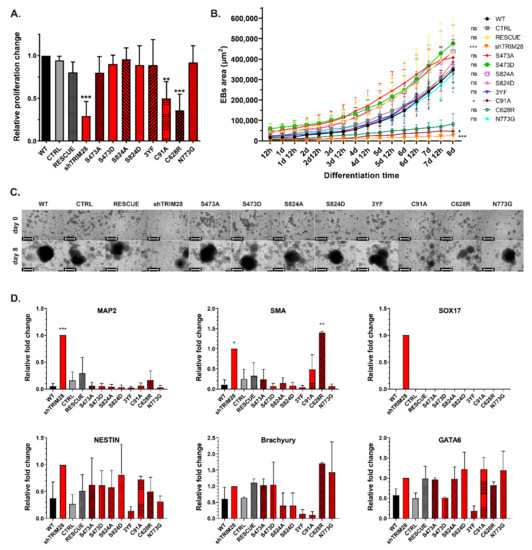 Disruption of RING and PHD Domains of TRIM28 Evokes Differentiation in ...