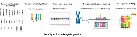 A Comprehensive Review of the Genomics of Multiple Myeloma ...