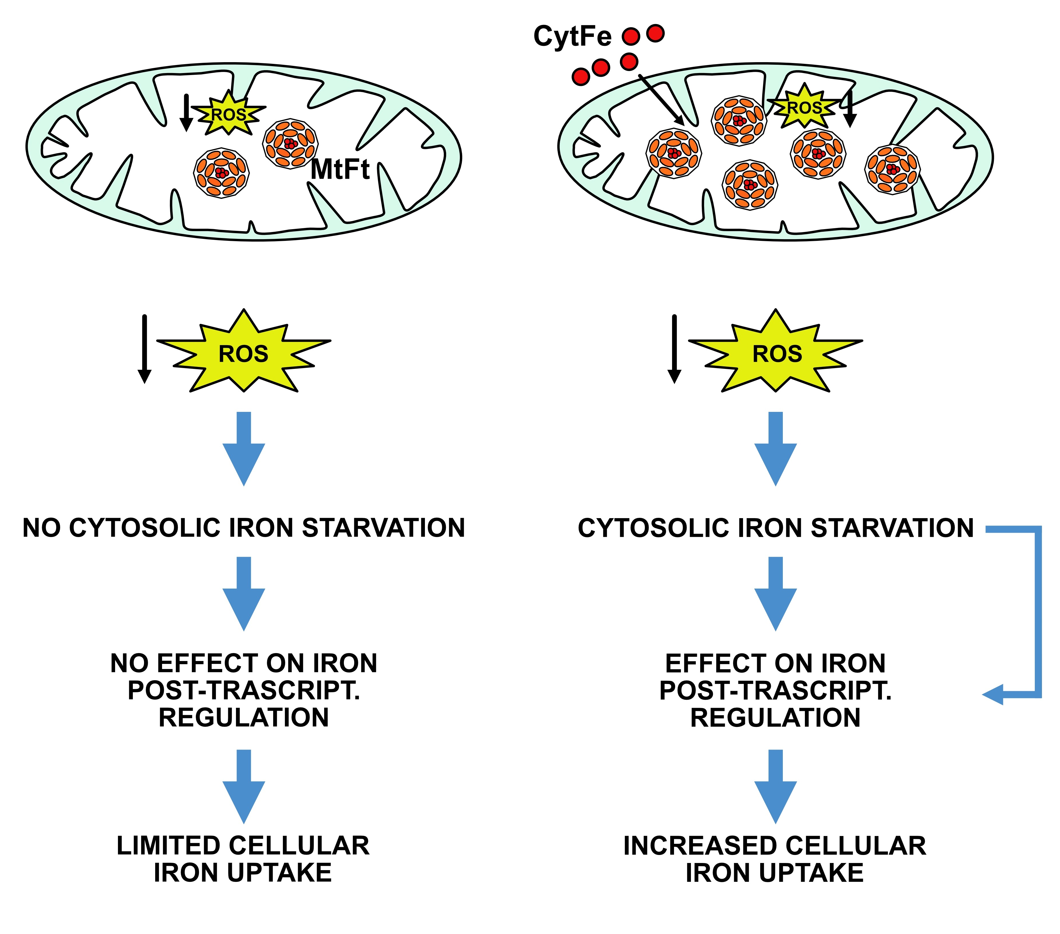 Sonia Levi's Instagram, Twitter & Facebook on IDCrawl