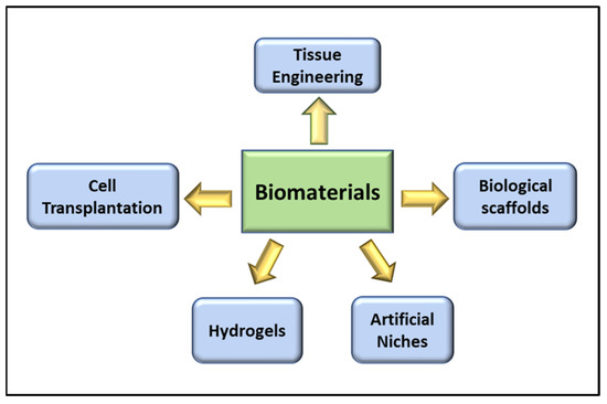 Immunomodulation and Biomaterials: Key Players to Repair Volumetric ...