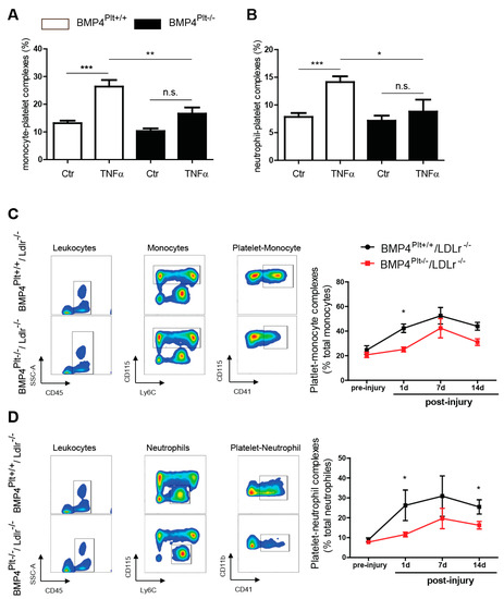 Cells | Special Issue : Bone Morphogenetic Protein (BMP) Signaling in ...
