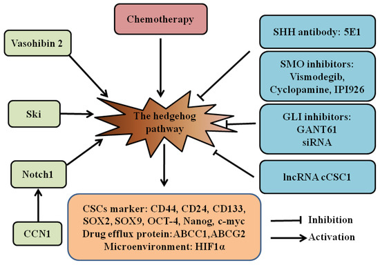 The Role of the Hedgehog Pathway in Chemoresistance of Gastrointestinal ...