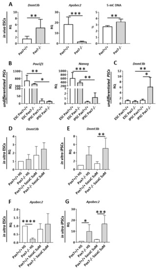 PAX7 Balances the Cell Cycle Progression via Regulating Expression of ...