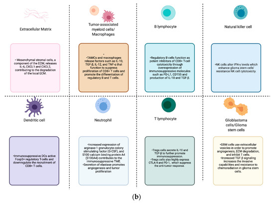 The Interplay between Glioblastoma and Its Microenvironment