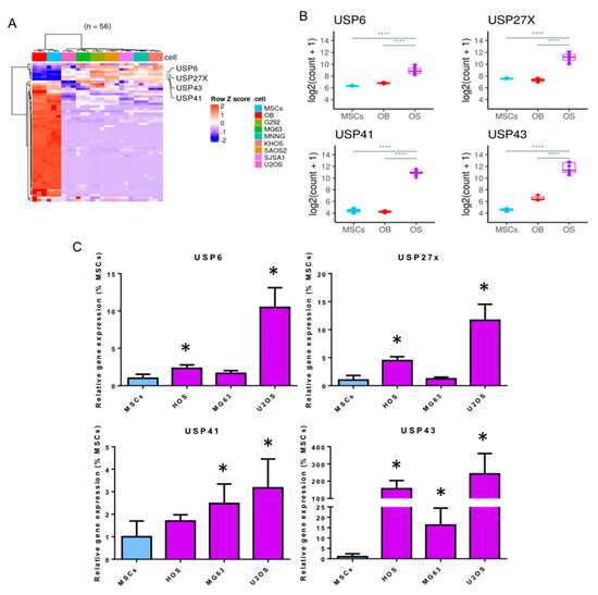 Overexpression of the Ubiquitin Specific Proteases USP43, USP41, USP27x ...